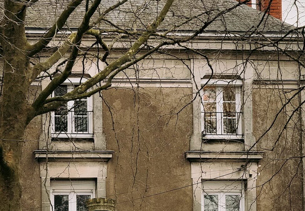 Discovering the Best French Language Schools in Vancouver - ImmiQuest ...